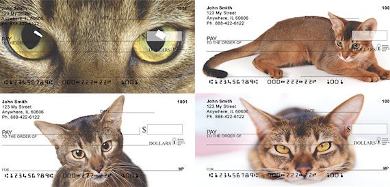 All The Best Cat Checks at PetChecksDirect.com