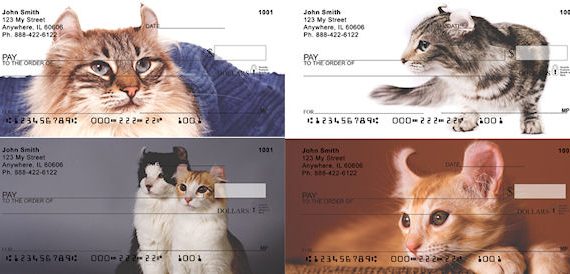 All The Best Cat Checks at PetChecksDirect.com